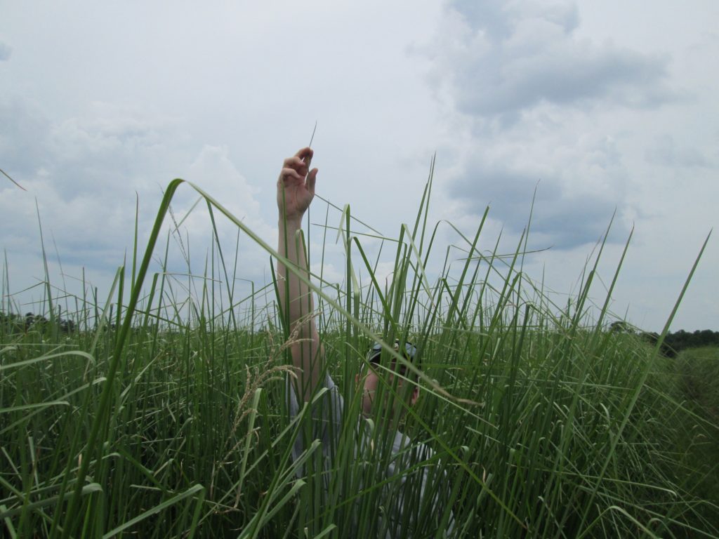 WAIV® Evaporation System – Clear Creek Environmental Solutions