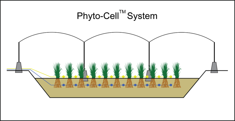 Phyto-Cell™ – Clear Creek Environmental Solutions