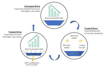 Brine Solutions Using Microbes – Clear Creek Environmental Solutions