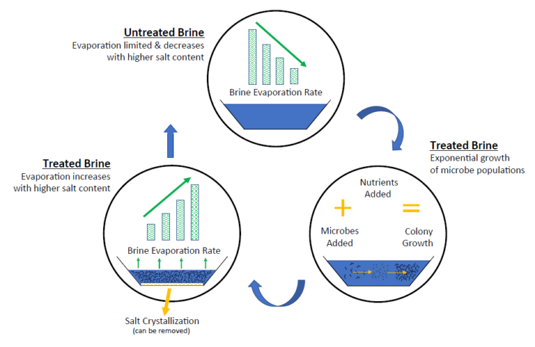 Brine Solutions Using Microbes – Clear Creek Environmental Solutions